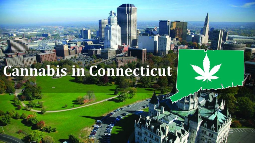 Cannabis Marijuana in Connecticut - Leafy Green Agency